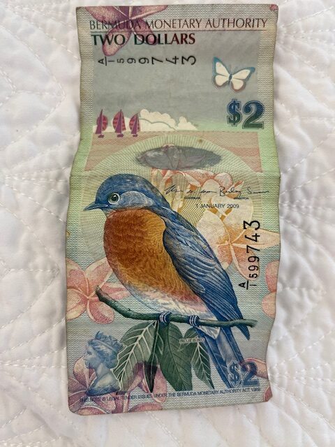 NABS news – North American Bluebird Society